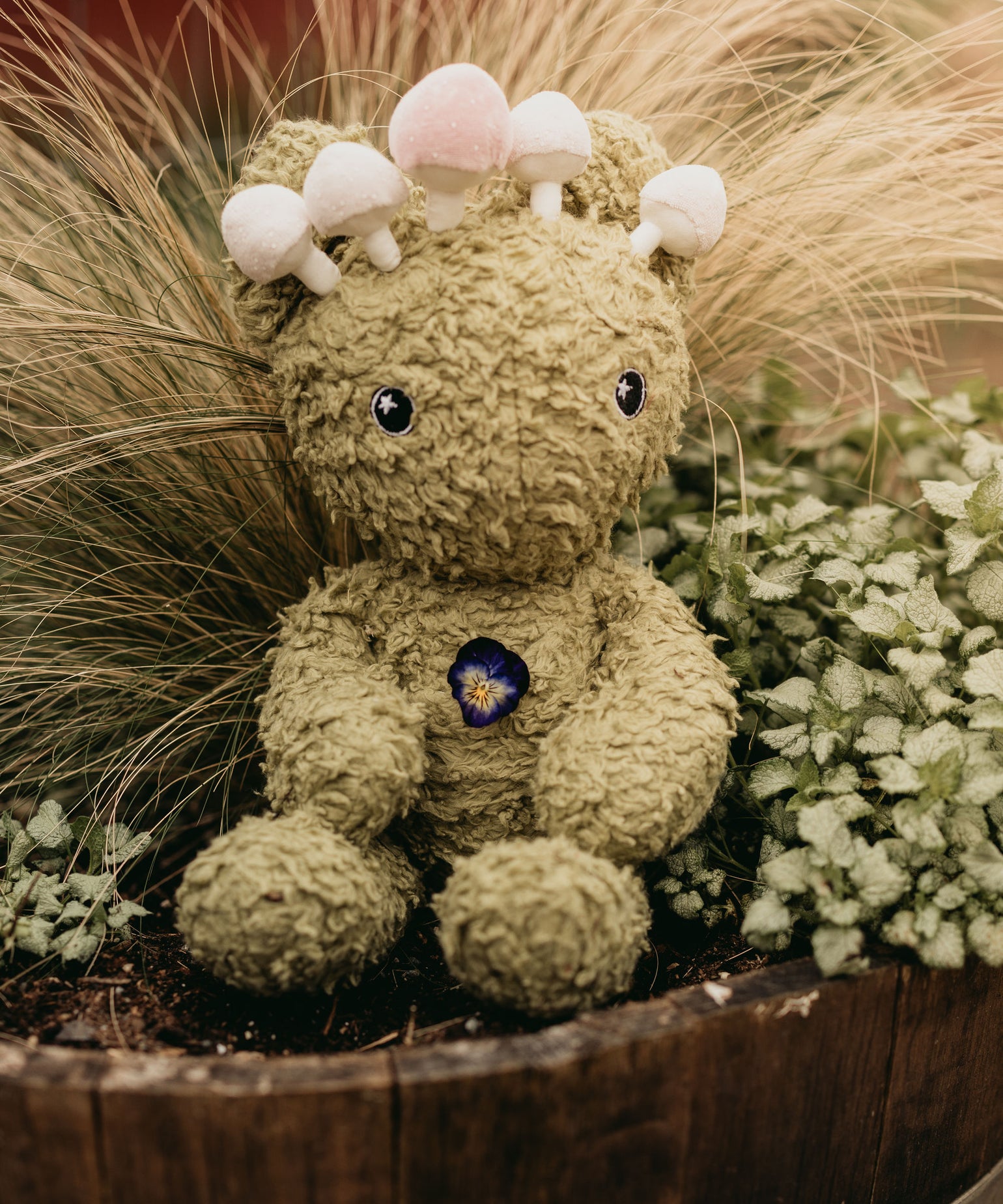 Curious Little Market