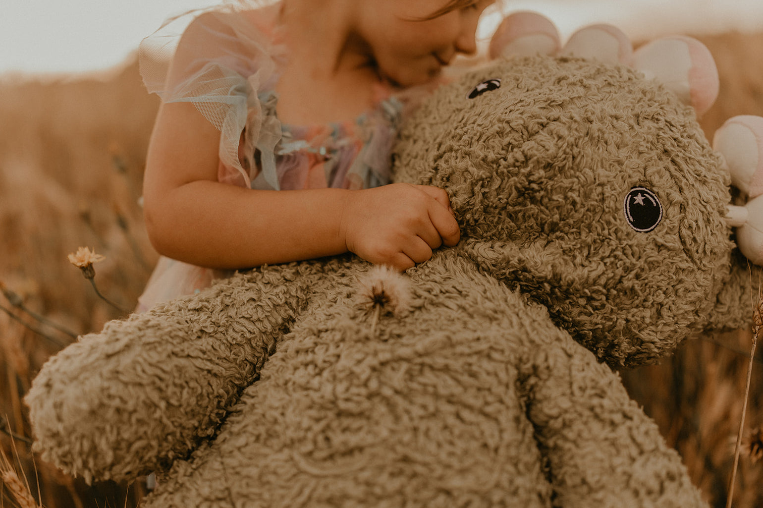 WhimsyWilde (FINAL BATCH) – Curious Little Market