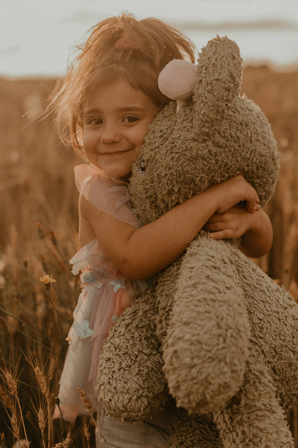 WhimsyWilde (FINAL BATCH) – Curious Little Market