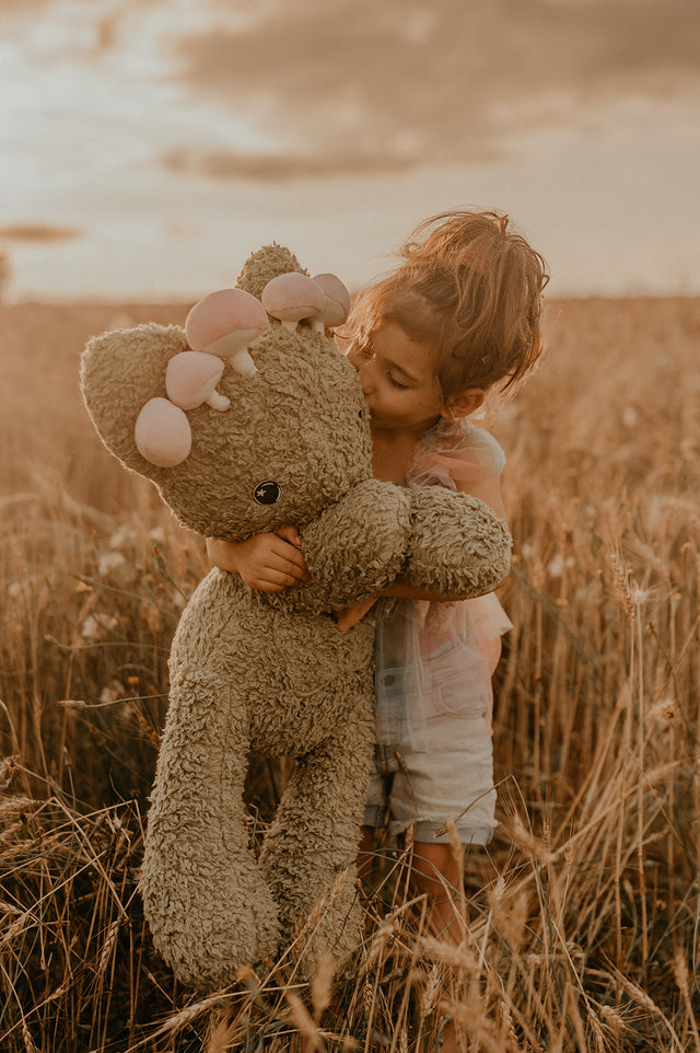 WhimsyWilde (FINAL BATCH) – Curious Little Market